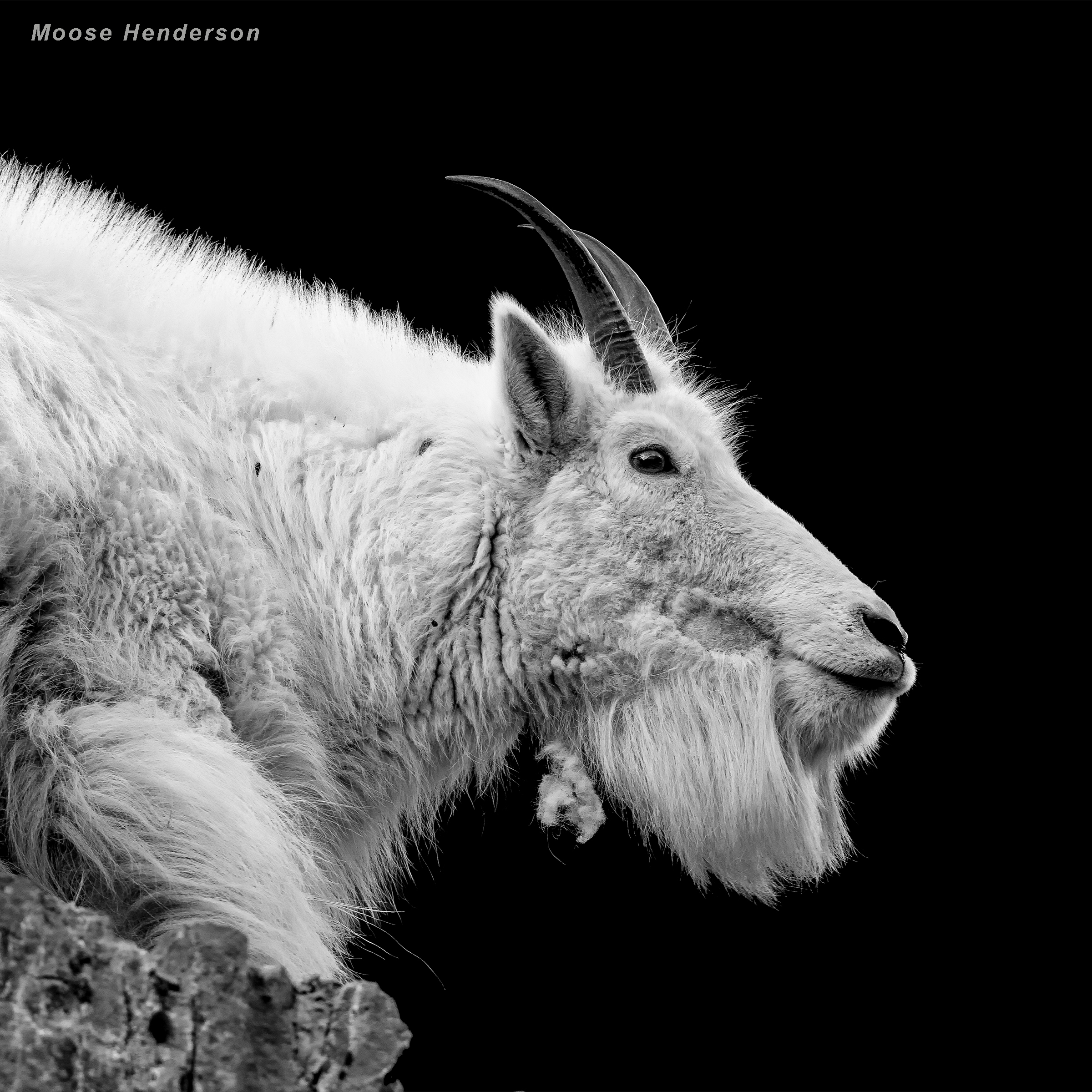 Alpine Tundra – Explore the Wonders of Nature